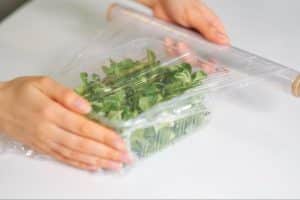 BPA-Free Polymers: Discover Powerful Benefits in Packaging